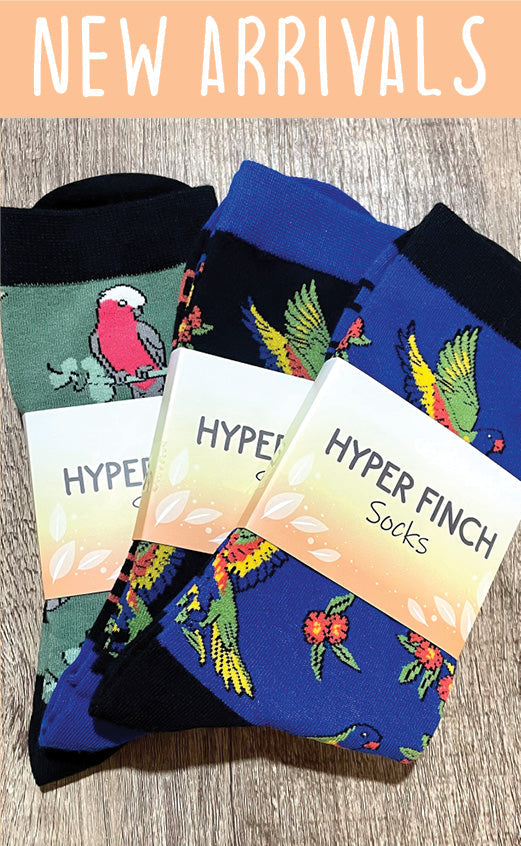 New – Hyper Finch