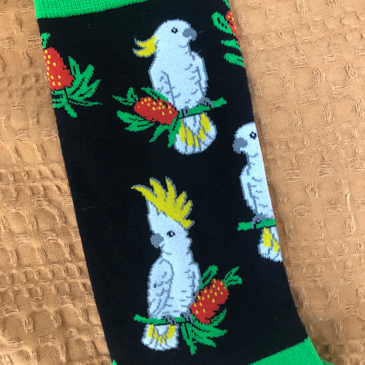 Sulphur-Crested Cockatoo Socks – Hyper Finch