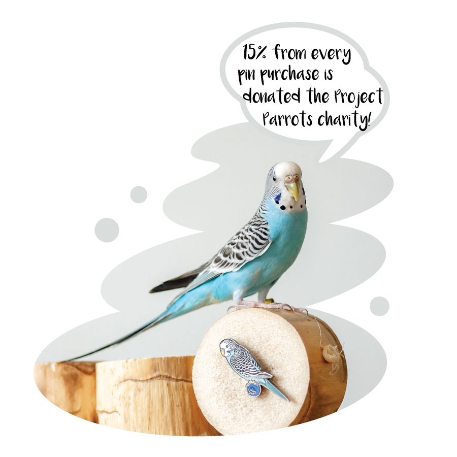 Rocko The Toco Toucan Enamel Pin – Hyper Finch