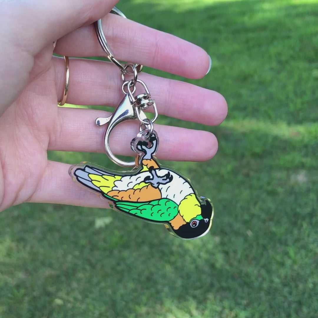 ChiChi the Black-headed Caique Keychain – Hyper Finch