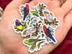 Australian Birds Mini Sticker Pack (20 pack) – Hyper Finch