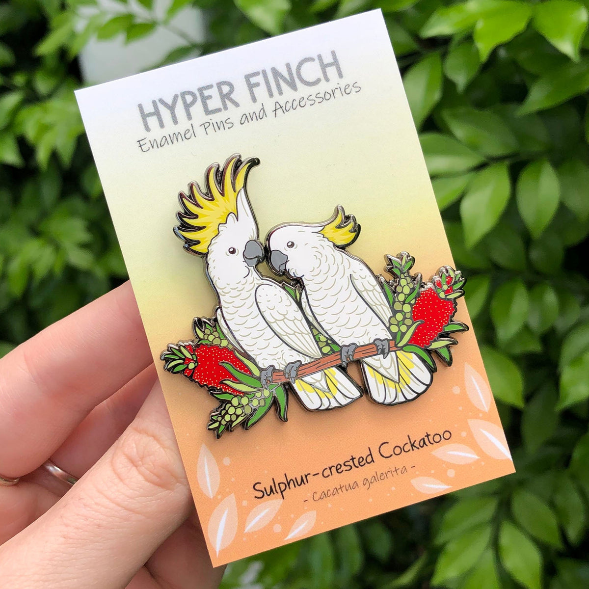 Sulphur-crested Cockatoos Hard Enamel Pin – Hyper Finch