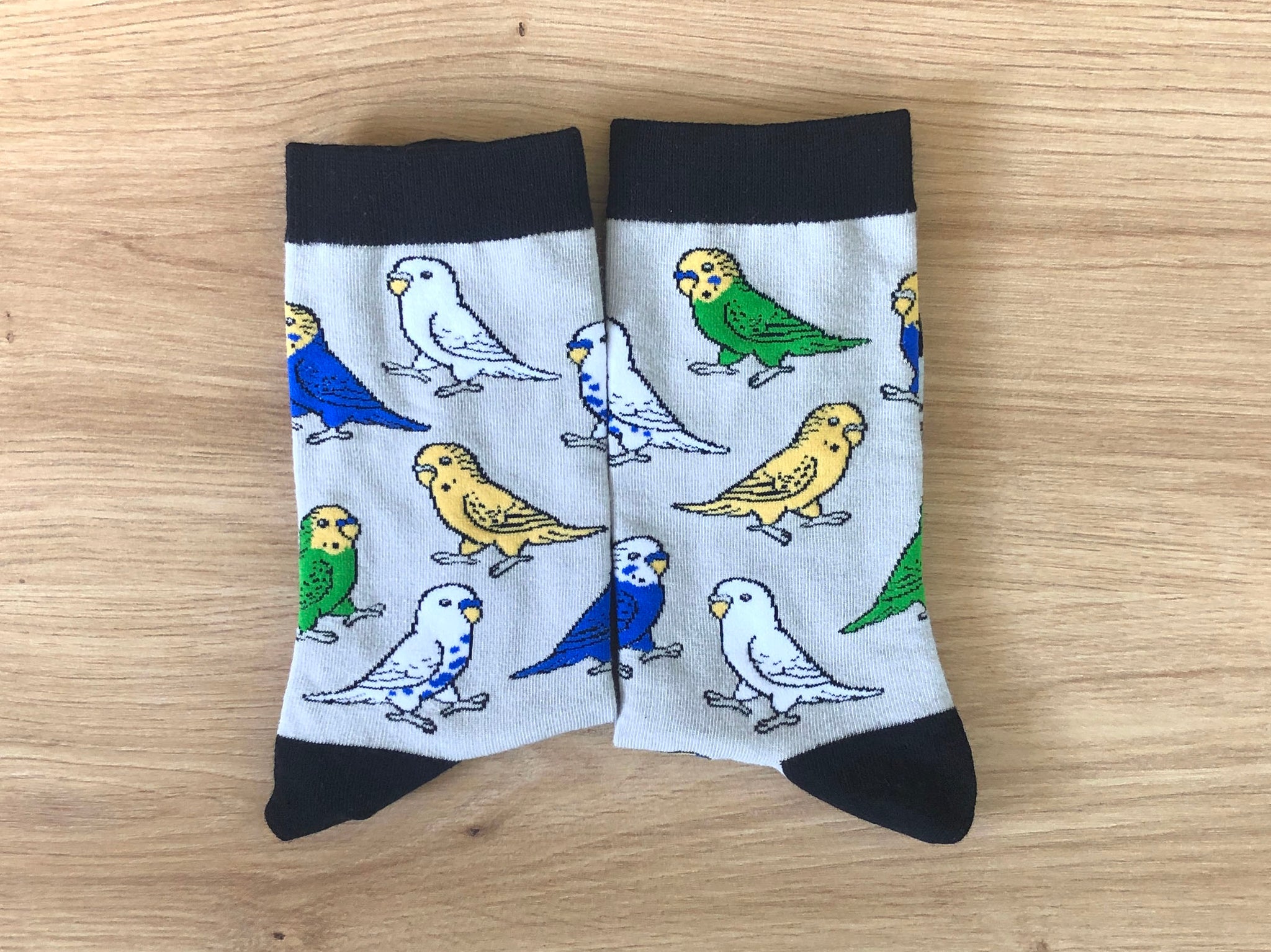 Budgie Socks – Hyper Finch