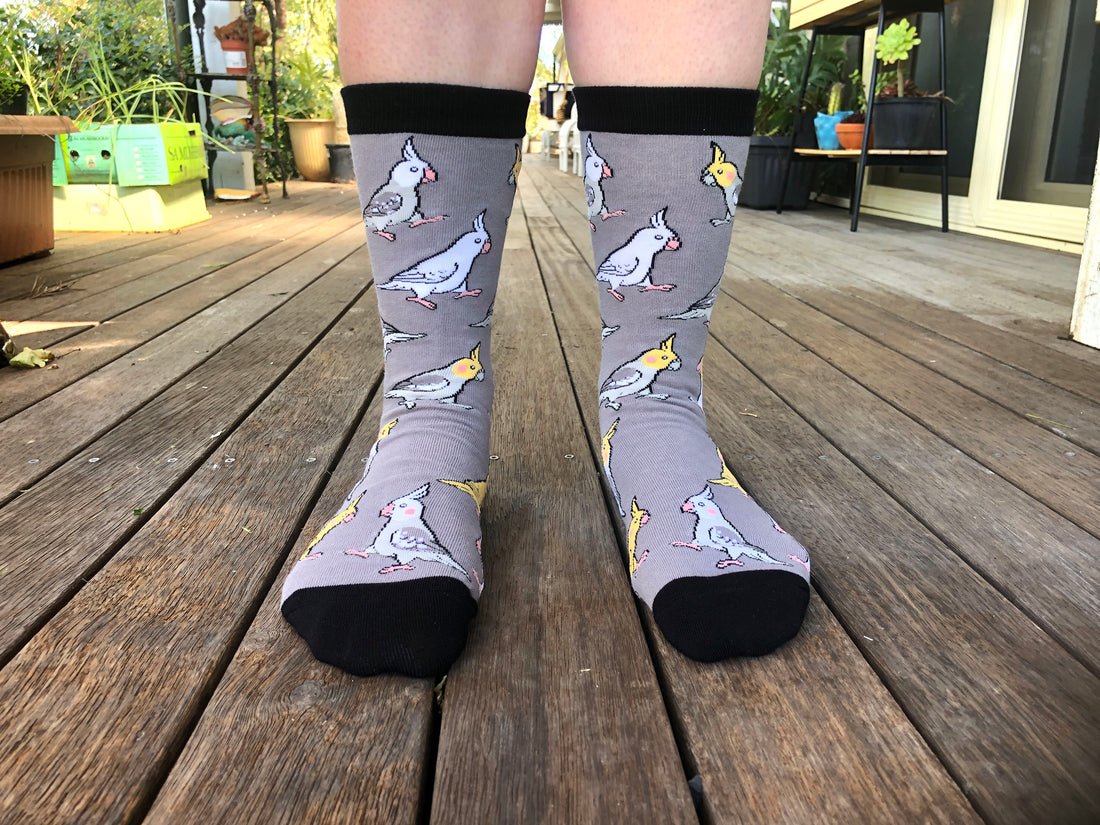 Cockatiel Socks – Hyper Finch